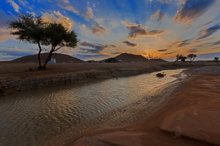 Saudi natural reserve launches field survey to protect resources