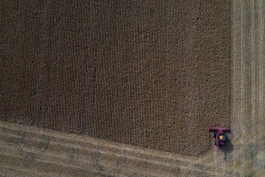 Corn and soybeans tread water as US farmers sell into high prices