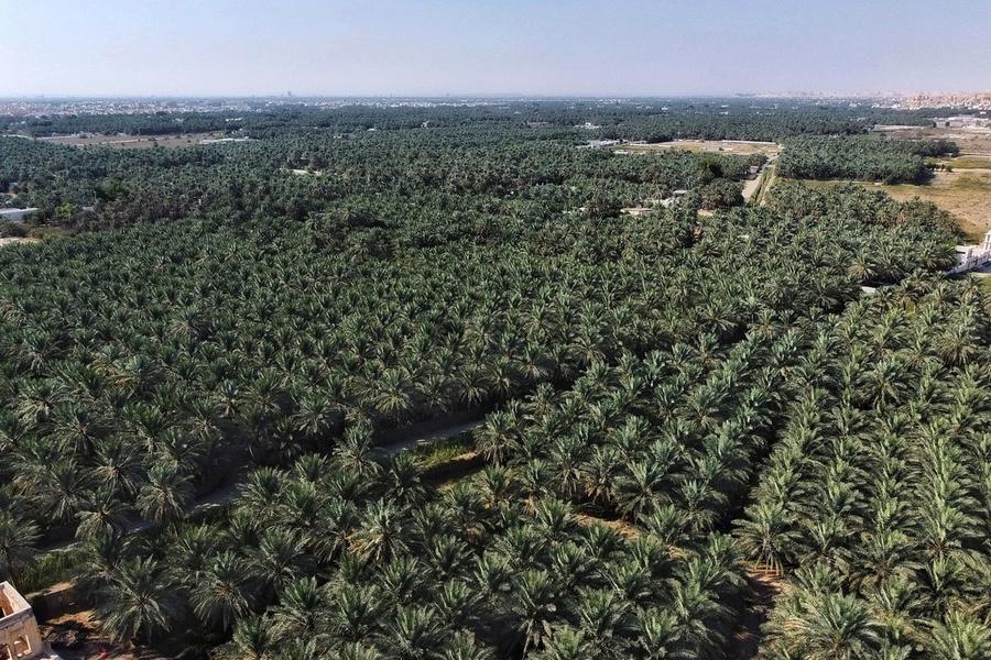 Dan Company launches new brand to boost Saudi agritourism