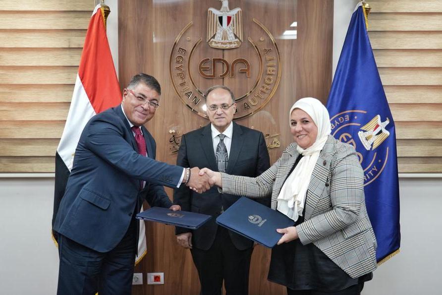 Organon partners with Egyptian Drug Authority to advance women’s health ...