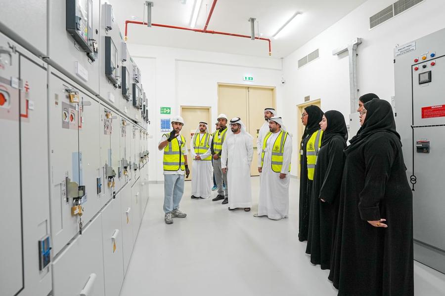 SEWA implements over 19 energy transmission projects in 2024