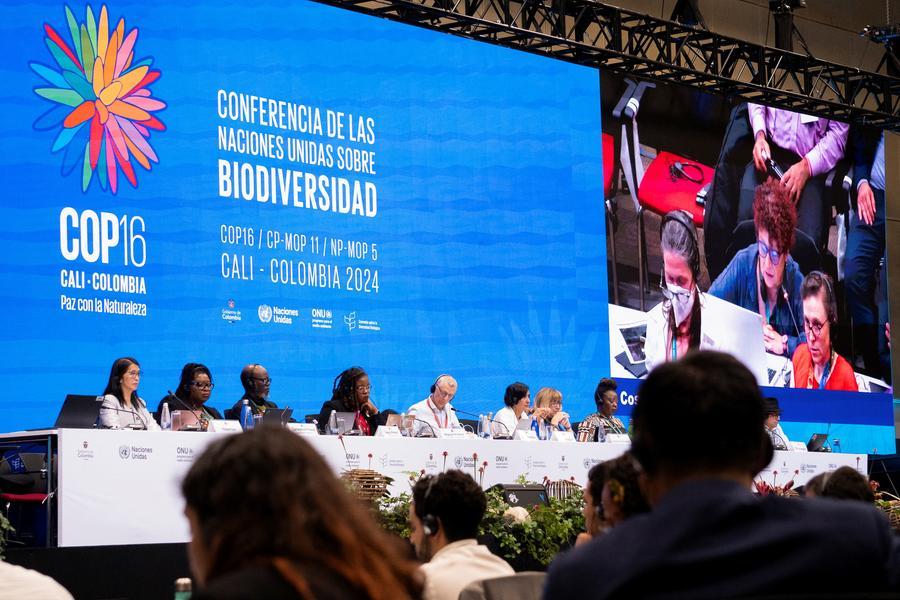 COP16 to begin in Saudi Arabia as world seeks solutions to land ...