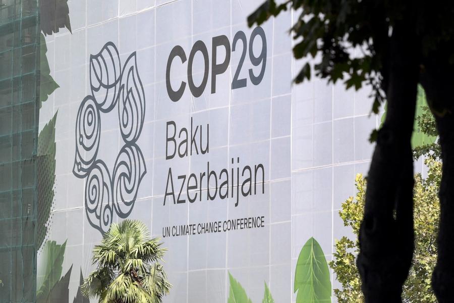 COP29 action on health 'a matter of life and death': WHO