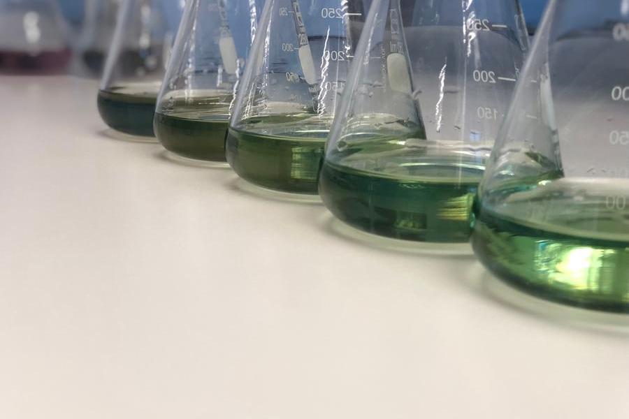 Egypt: AlexFert, United Energy seal deal for green ammonia production ...