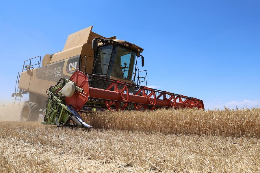 Saudi Arabia buys 455,000 tons of wheat in tender