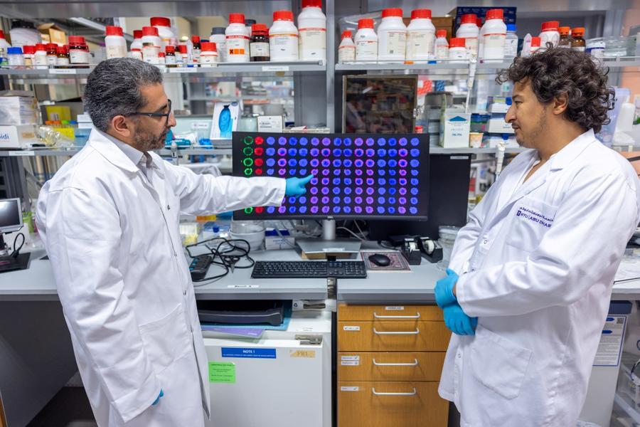 New paper-based technology could transform cancer drug testing