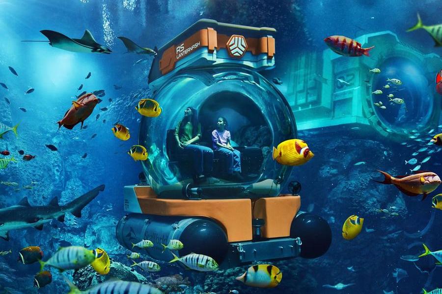 SeaWorld Yas Island, Abu Dhabi, introduces new 'SeaSub' experience
