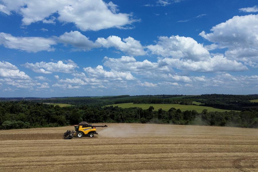Soybeans rise after biggest drop since 2023 on potential Trump-Xi ...