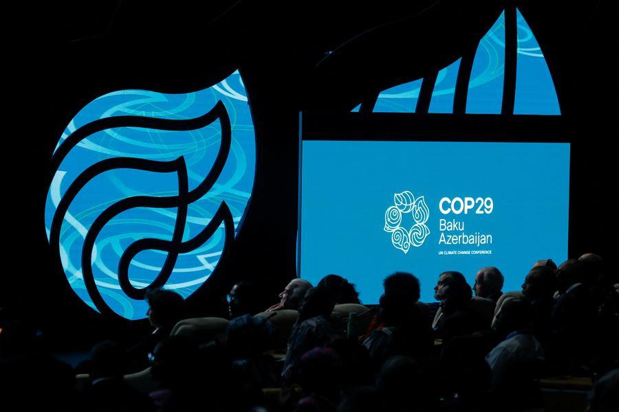UAE concludes participation in COP29
