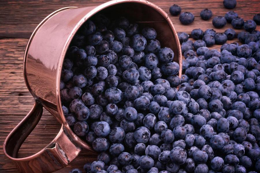 Zimbabwe has the world’s fastest-growing blueberry industry
