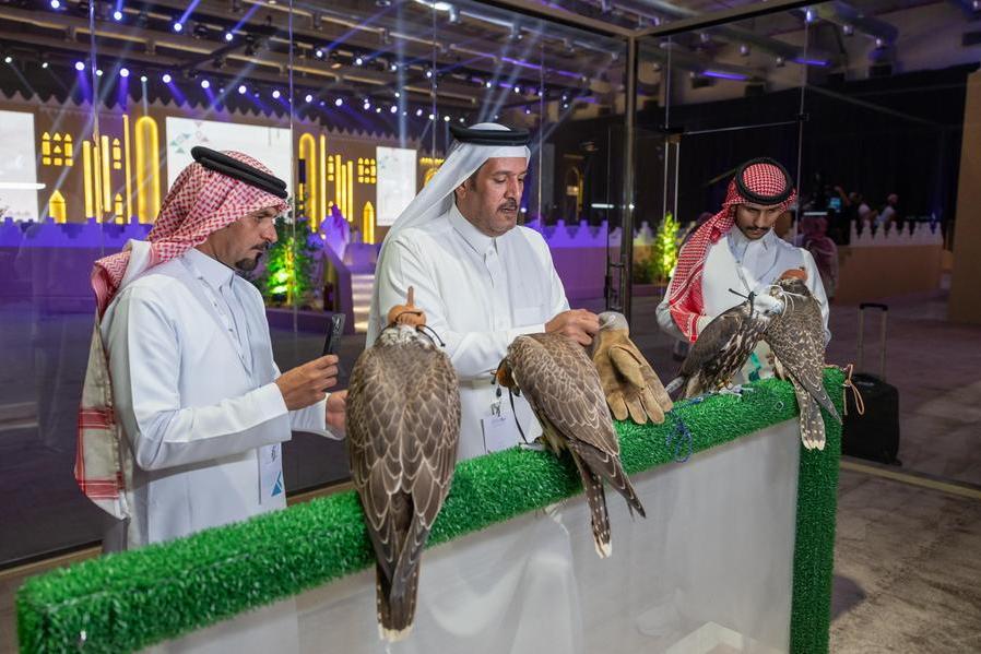 Saudi Arabia's premier auction event brings together global falcon ...