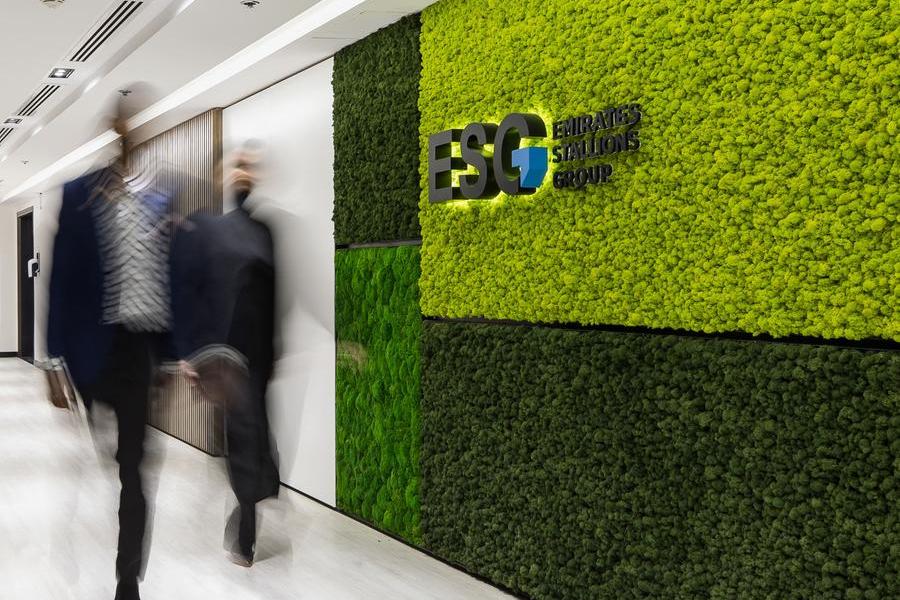 IHC subsidiary Emirates Stallions Group continue smashing expectations ...