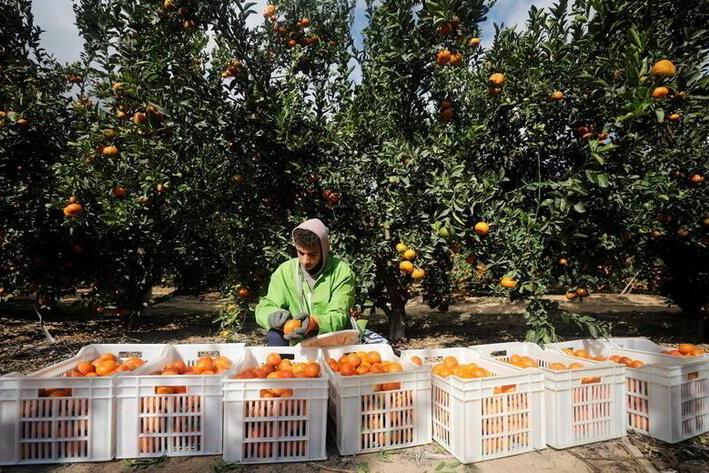 Egypt: MSMEDA, Erada Microfinance inks deal to fund 1,700 micro-enterprises