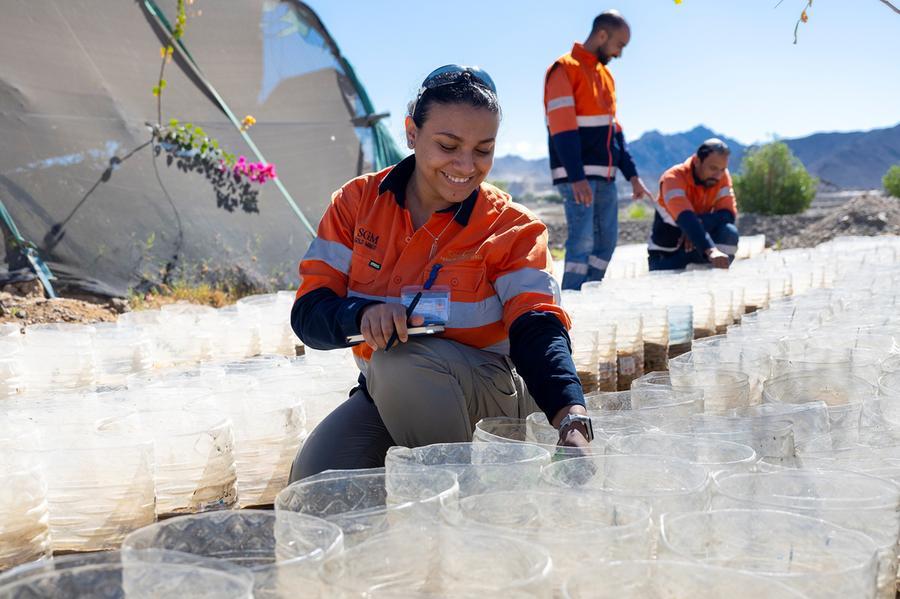 Centamin provides $830mln in direct economic contributions to Egypt in 2022