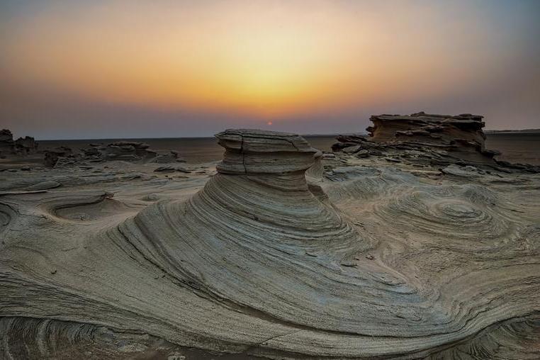 Saudi Geological Survey announces discovering sites of fossils extinct ...