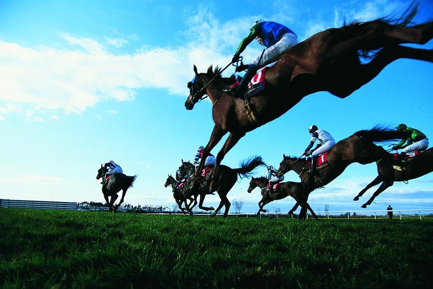 World’s best show horses to wow fans at Dubai International Arabian ...