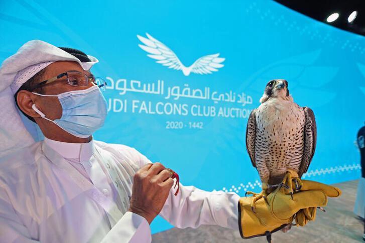 Over 550,000 to attend international falcons expo in Riyadh