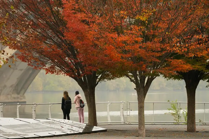 Spectacular fall colors around the world