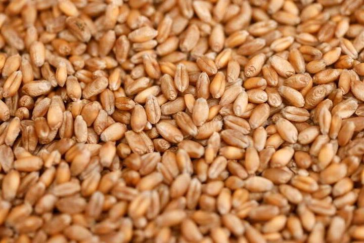 Taiwan buys estimated 104,000 metric tons of U.S.-origin wheat