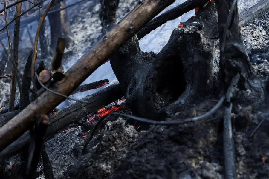 Colombia declares natural disaster over wildfires