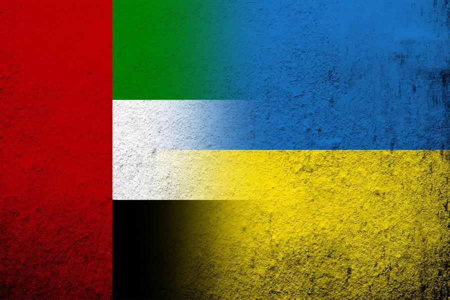 UAE President, Ukrainian President discuss bilateral ties, regional ...