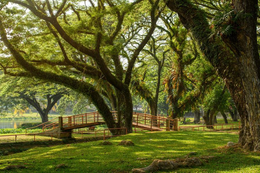 A new strategy envisions a green Amman