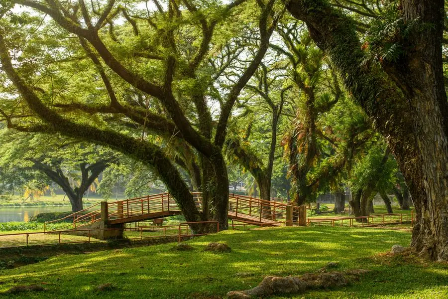 A new strategy envisions a green Amman