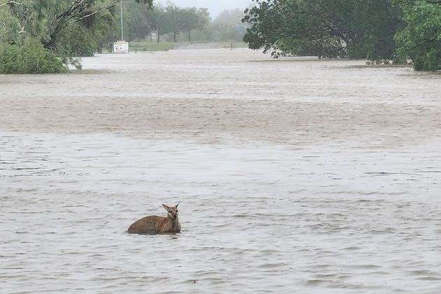 Many communities isolated in 'record-breaking' Western Australia floods