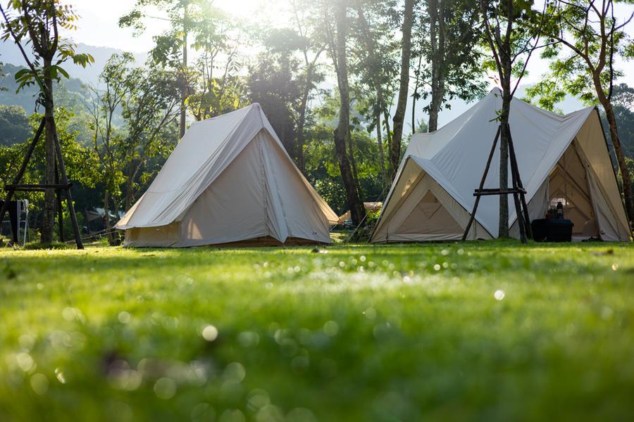 Green Planet brings back rainforest camping to Dubai