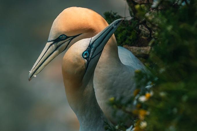 The Sony World Photography Awards: 2025 jury and exhibition announced