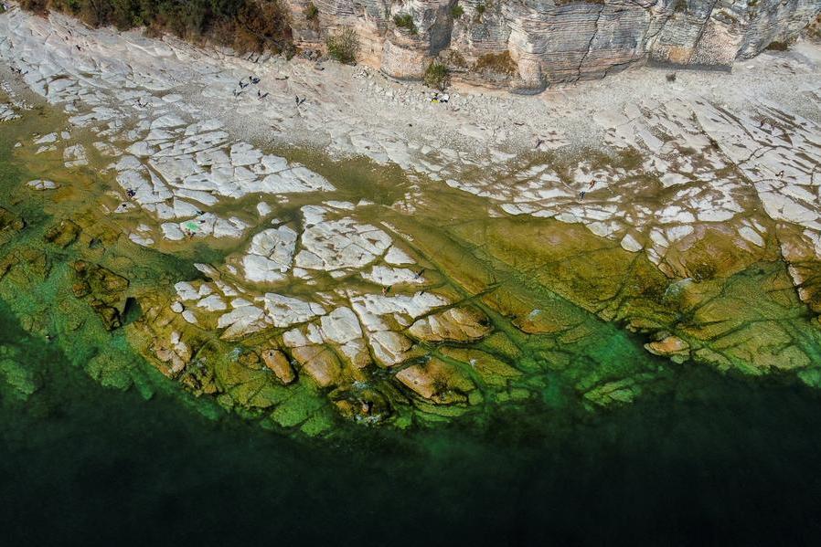 Italy to cut rice output as drought looms for second year