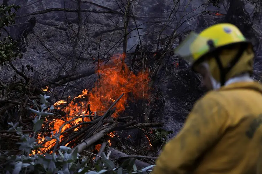 Colombia declares natural disaster over wildfires