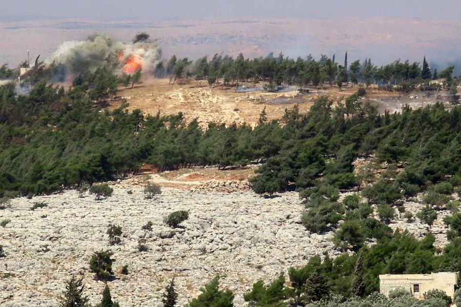 Illegal logging turns Syria's forests into 'barren land'