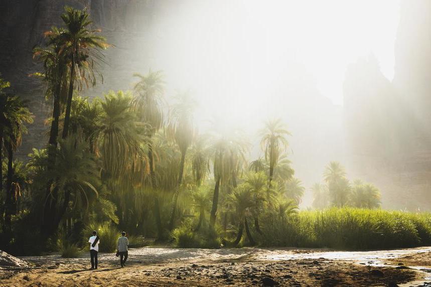 Saudi: TADCO, SEC ink agreement for power transmission station