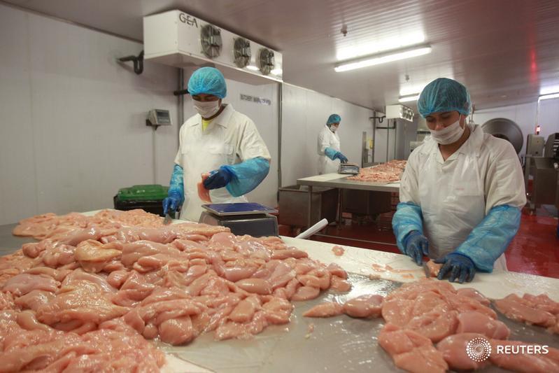 Qatar: MoPH intensifies inspections of restaurants, cafeterias in ...