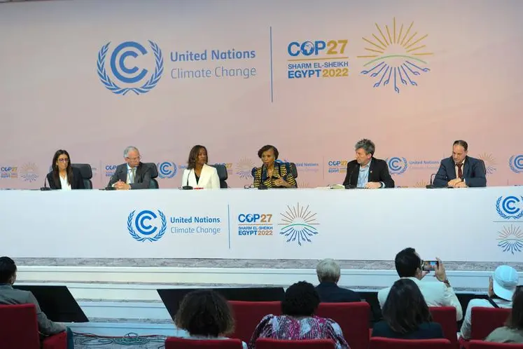 Egypt’s Environment Borders Foundation wins IBM’s Sustainability ...