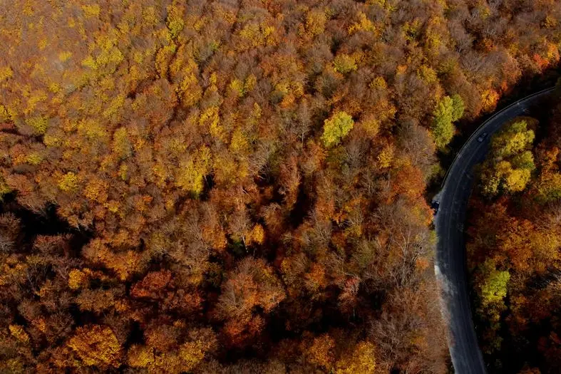 Spectacular fall colors around the world