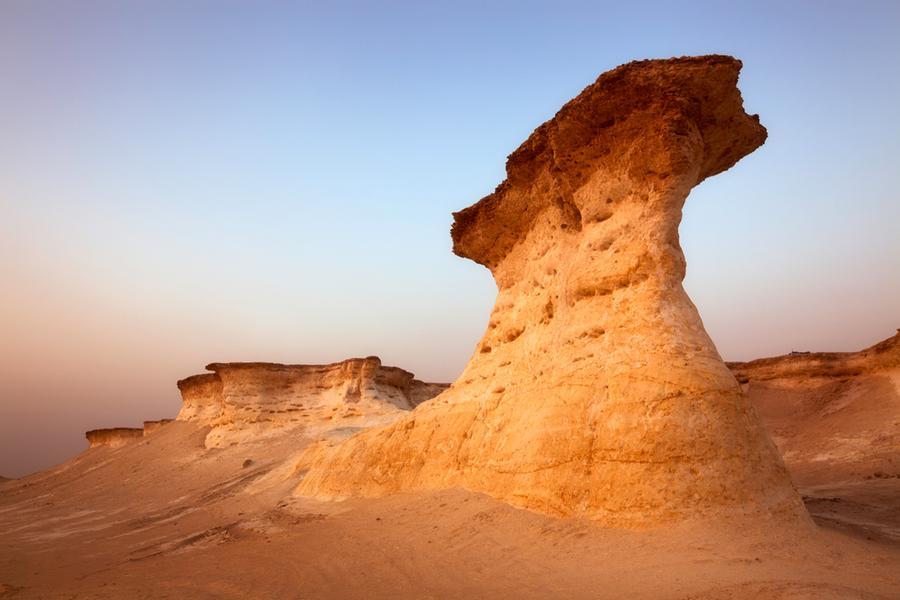 Qatar's biodiversity database platform to be launched in 2024