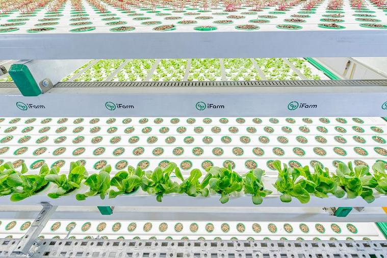 IFarm to build a robotic vertical farm in Switzerland
