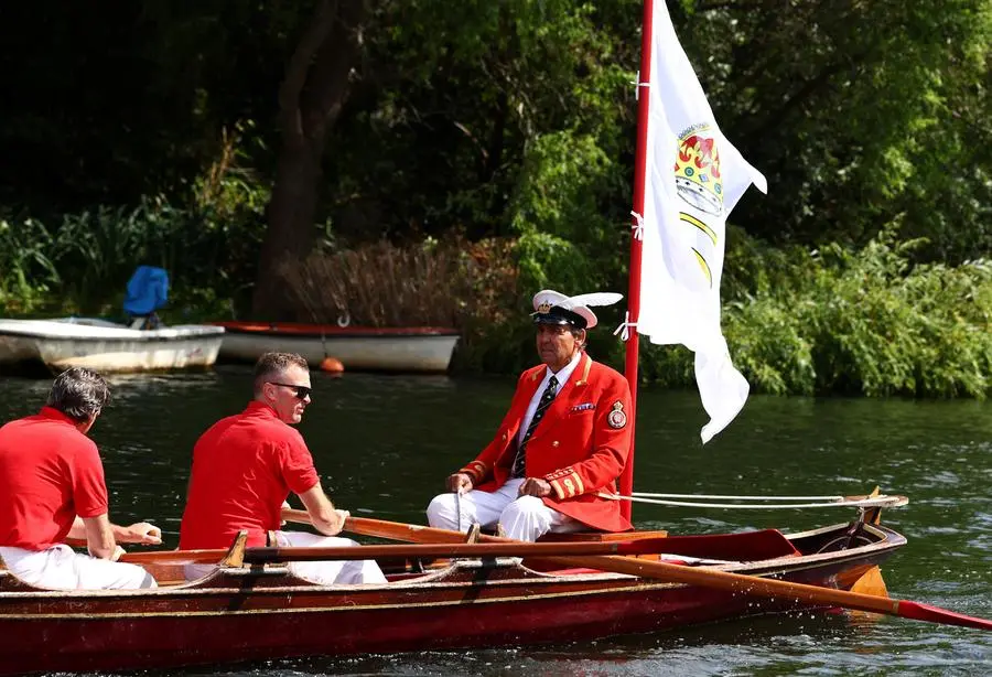 Counting of the swans