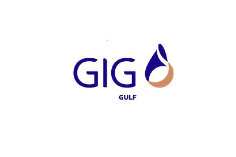 GIG wins ‘Pioneering Leadership in Comprehensive Insurance Solutions ...