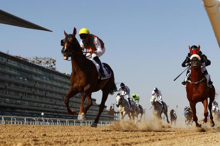 UAE horse racing: Al Ain off to a flyer, Jebel Ali under starter's order