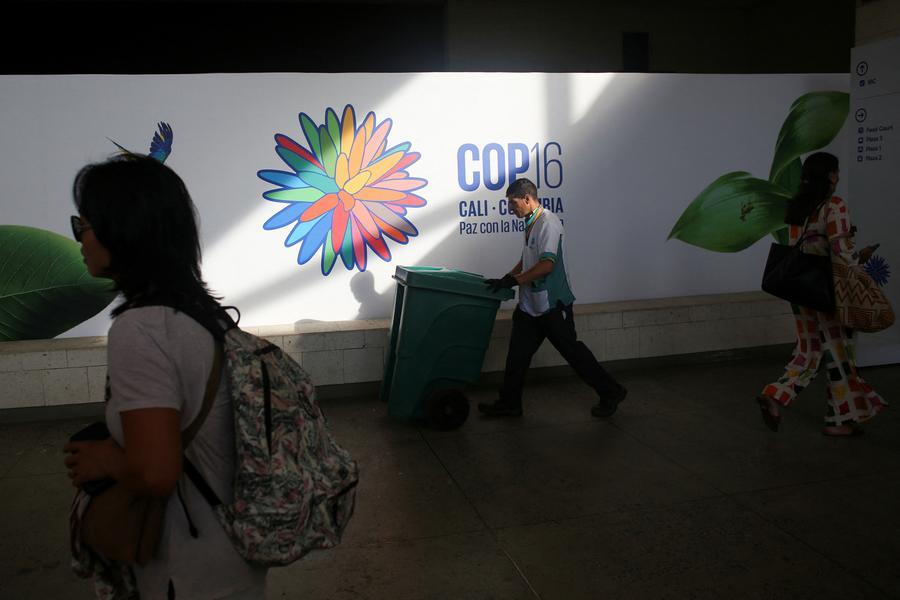 COP16 ‘Green Zone’ opens to public at December 2 start of UN Conference ...