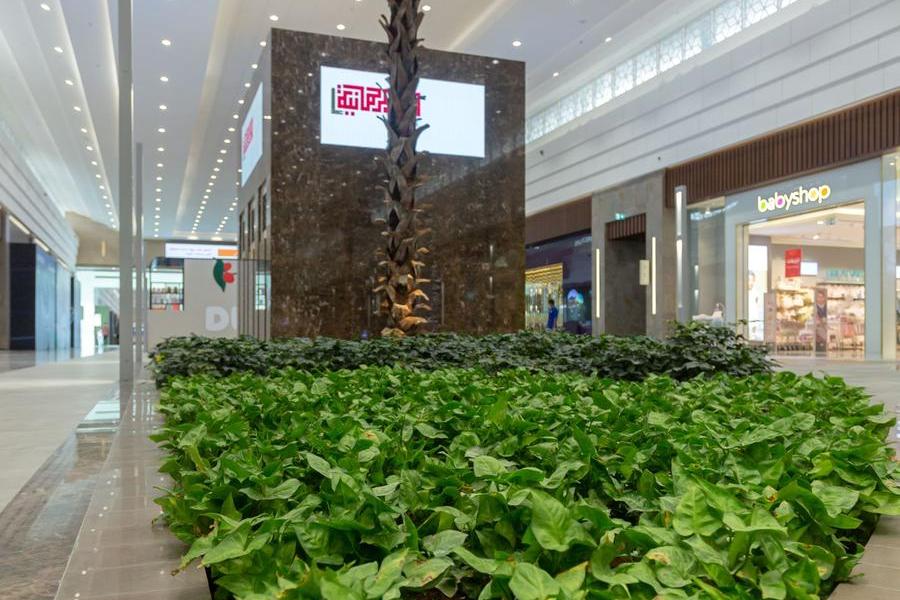 Rahmania Mall highlights key achievements in the sustainability agenda ...