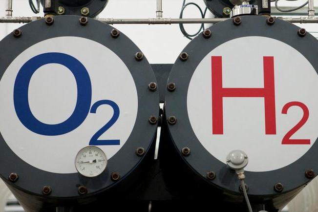 Germany's energy crisis powers hydrogen switch