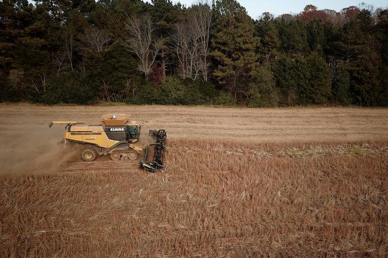 Soybeans drop, corn hits 4-year low as bumper US crops forecast