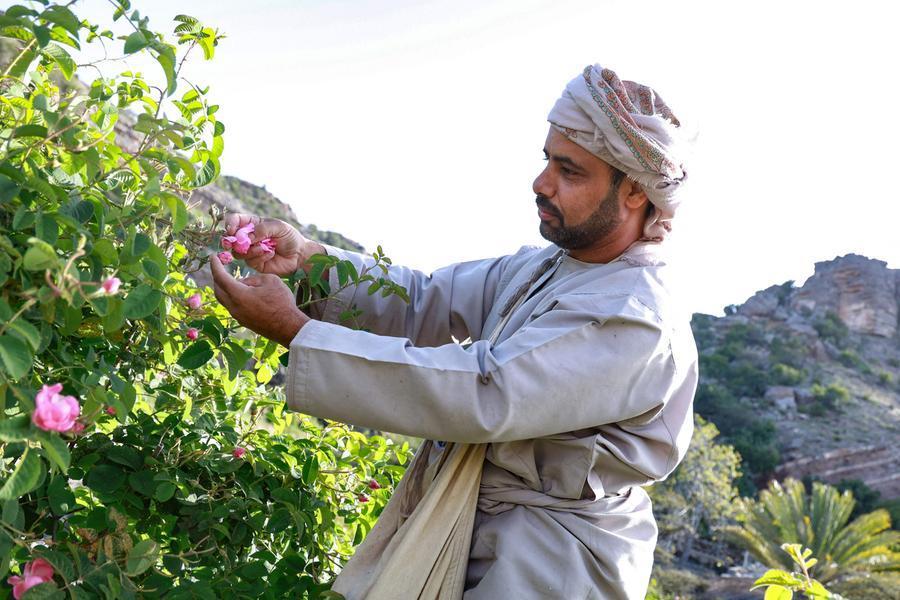 Oman strides towards sustainable ecotourism