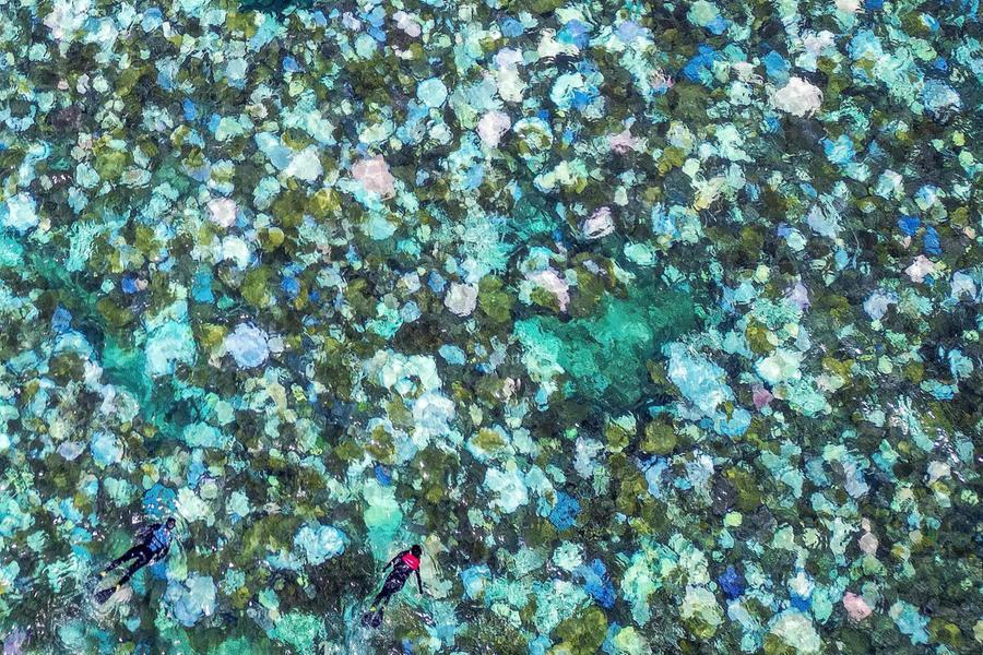 Australia's Great Barrier Reef hit by record bleaching