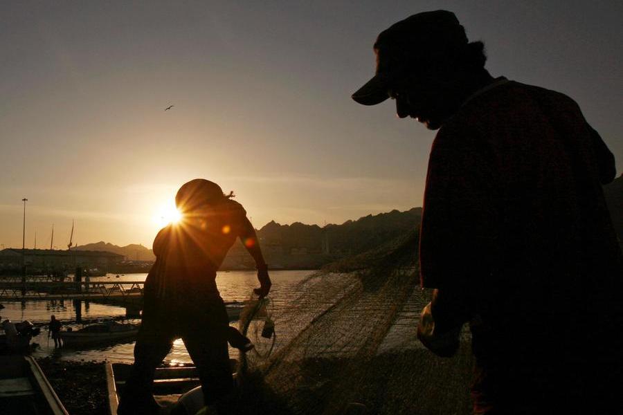 MENA’s largest fish canning factory begins operations in Duqm SEZ