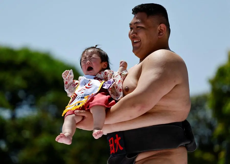 100 crying babies face off at sumo festival